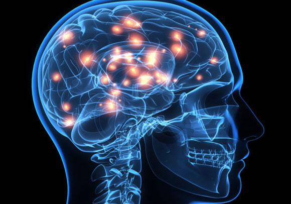 Brain-Activity - Evolve Direct Primary Care