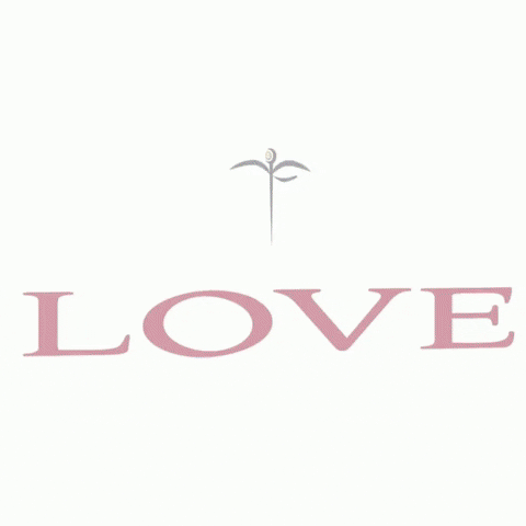 Evolve Logo Animated GIF-downsized - Evolve Direct Primary Care